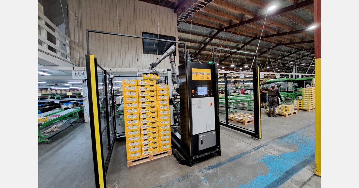 Seeka prueba un nuevo apilador robótico en Kiwi Kool Packhouse