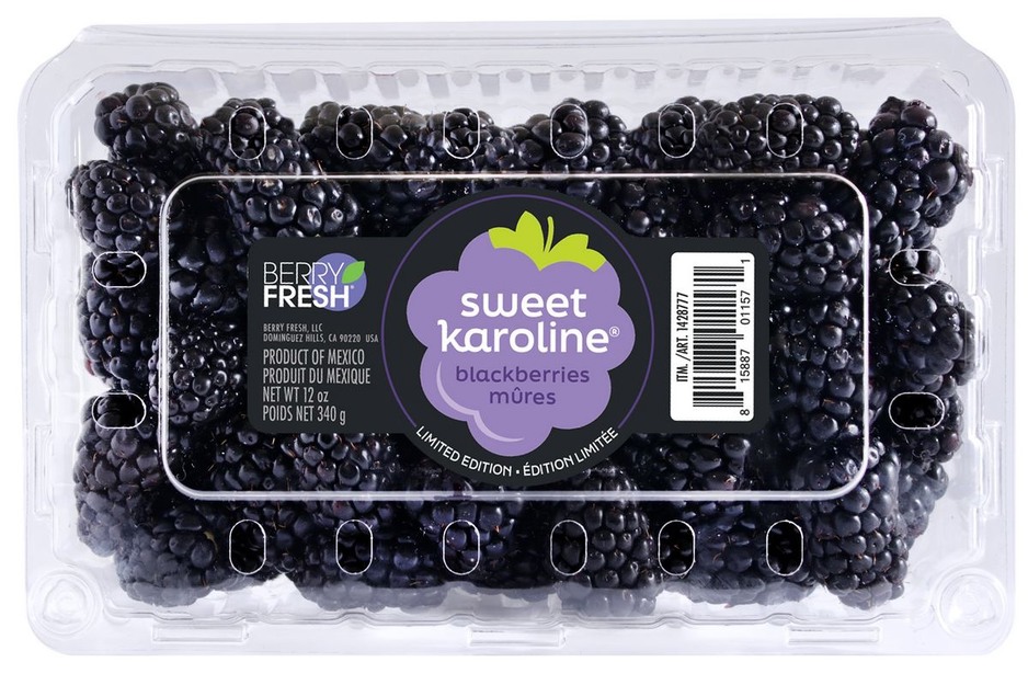 Aumenta la producción y distribución de la variedad de mora Sweet Karoline