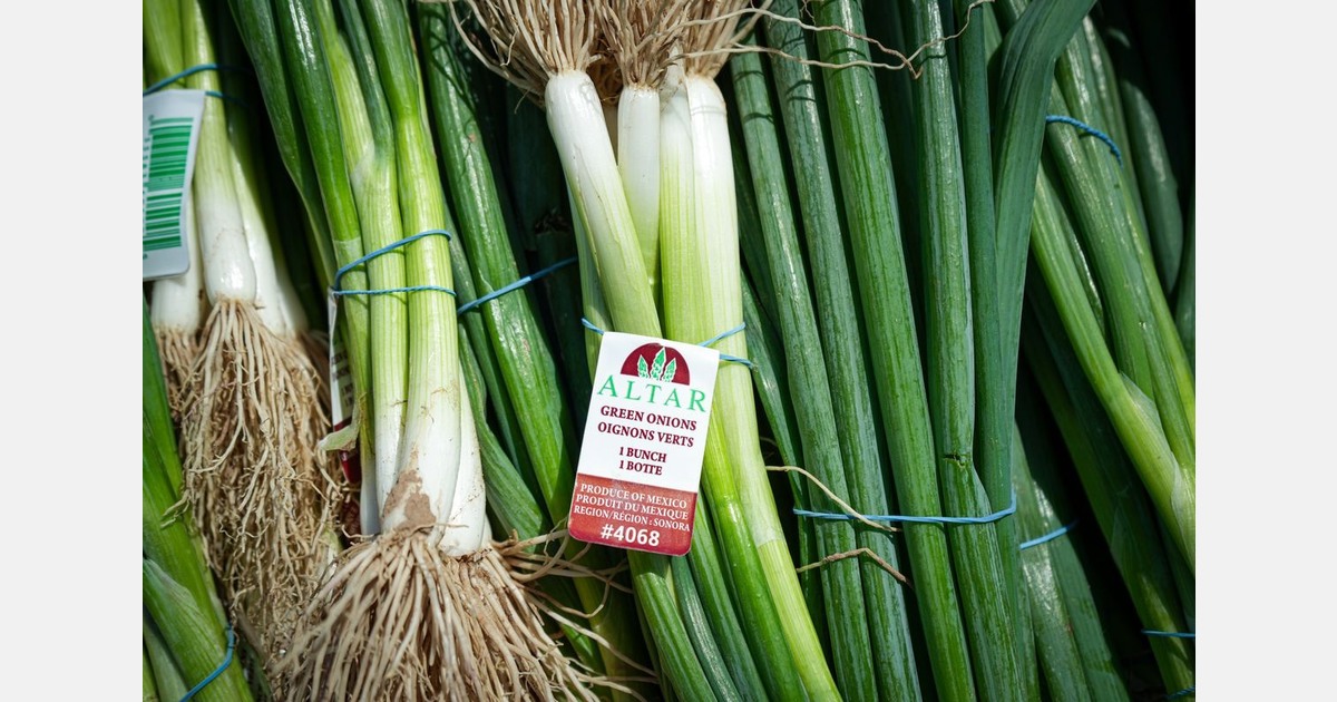 Altar Produce amplía su programa de hortalizas especiales