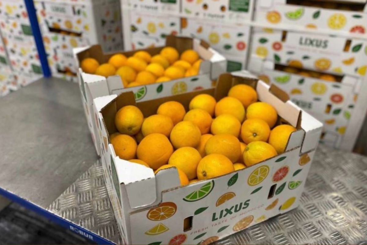 La demanda de naranjas Maroc Late de Marruecos es estable