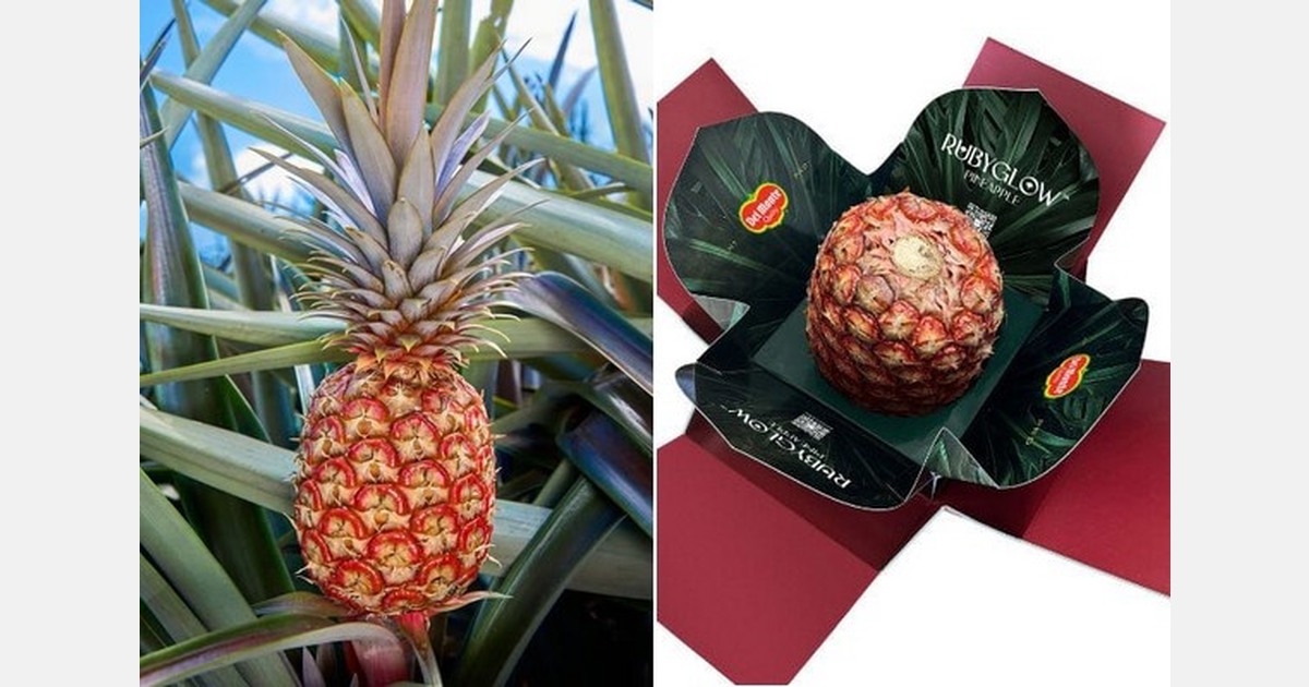 Los volúmenes de piña vuelven a repuntar