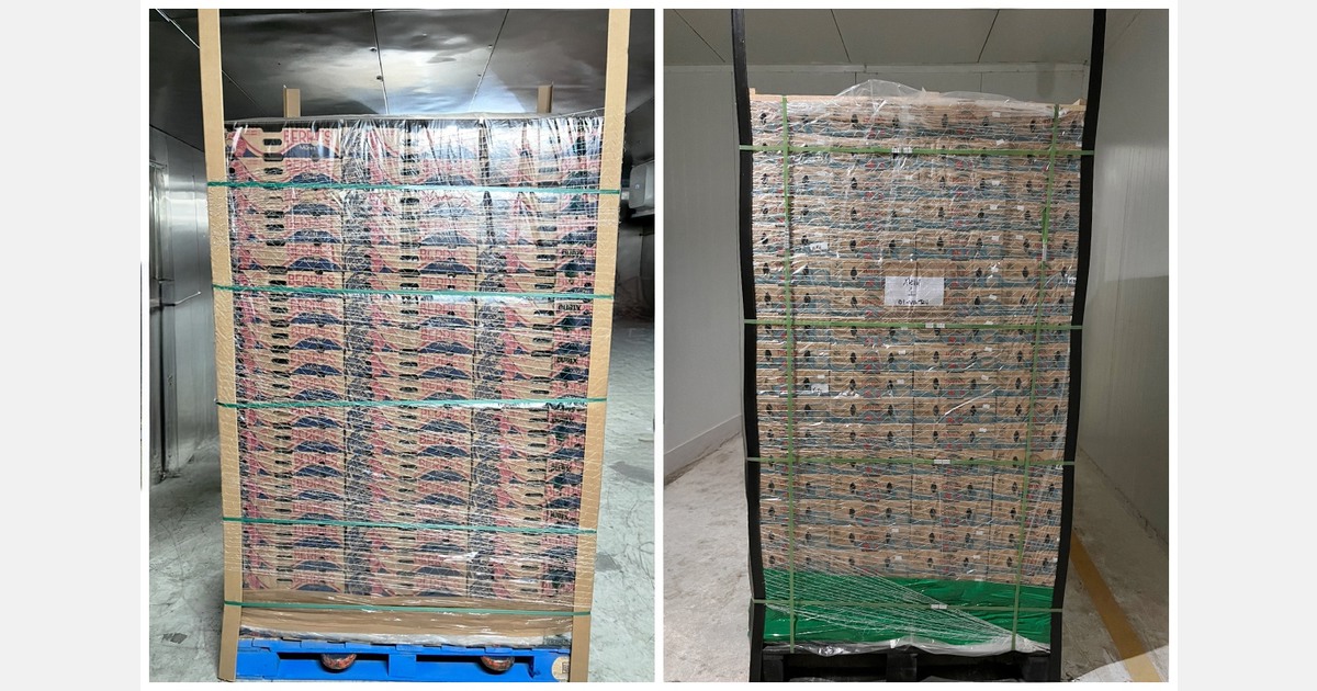 Fundas para palés que preservan la frescura de los productos hasta la ...