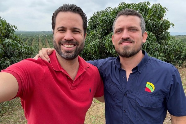 Bajan los envíos de mango de Ecuador y Perú a EE. UU.