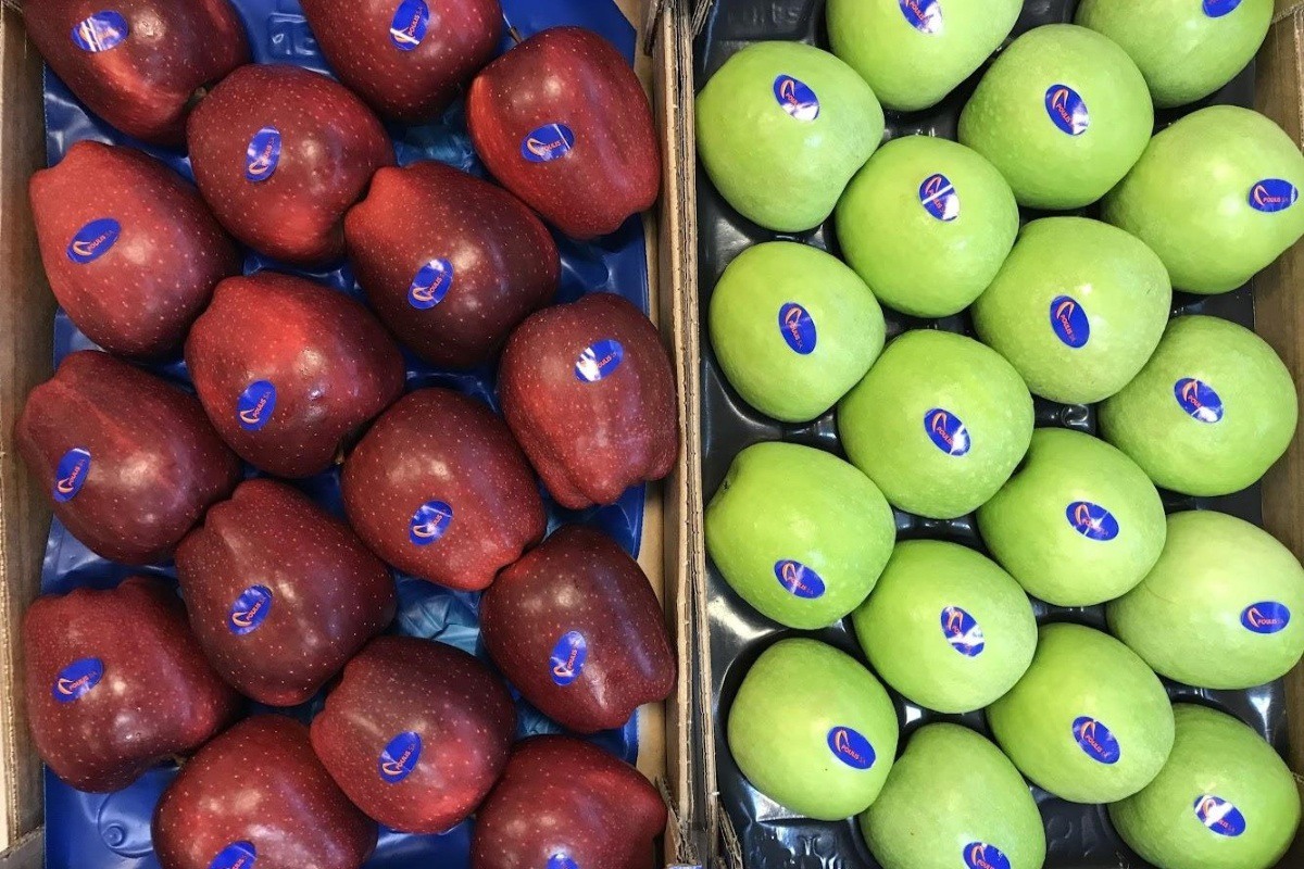 "La temporada de manzanas está siendo tranquila, no hay necesidad de ...