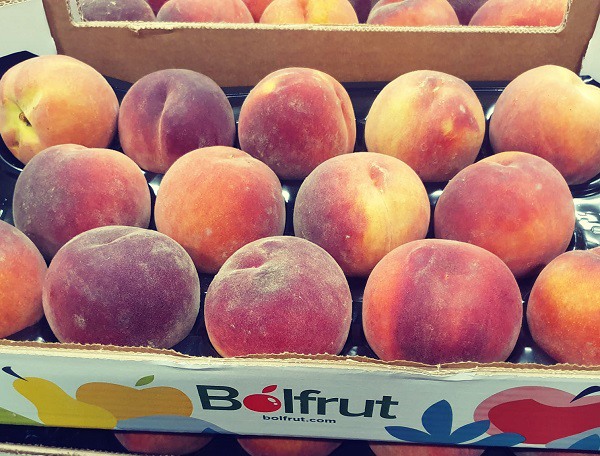 "Comercializamos 200 camiones de tomate en rama durante la temporada de ...