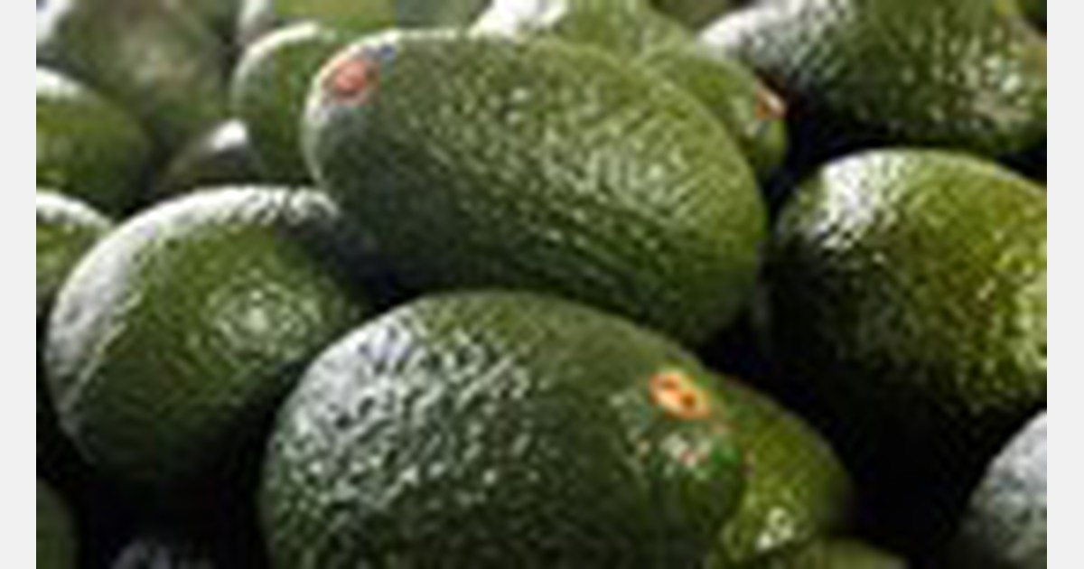 Perú proyecta aumentar las exportaciones de palta Hass en 2020