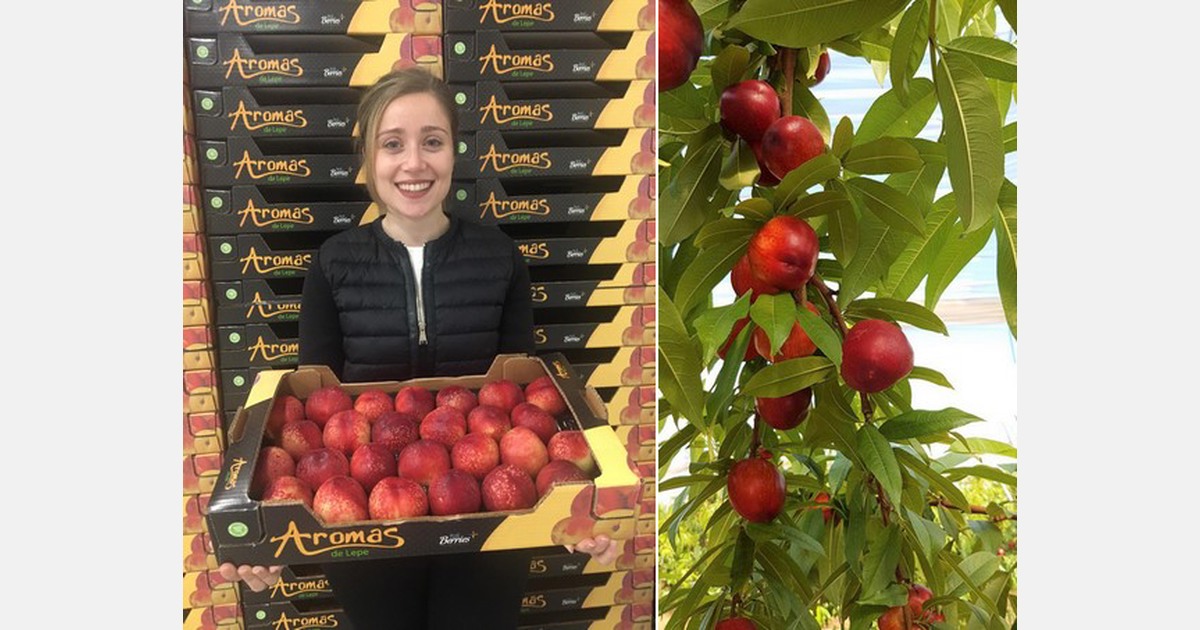 “Por primera vez toda nuestra gama de fruta de hueso tiene cero residuos”