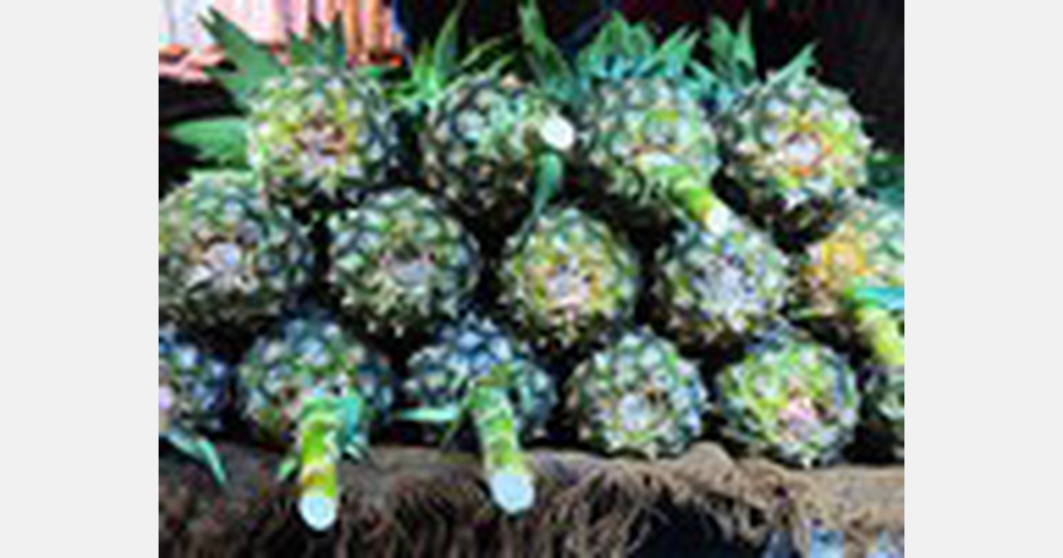 Colombia exporta por primera vez piñas a Canadá