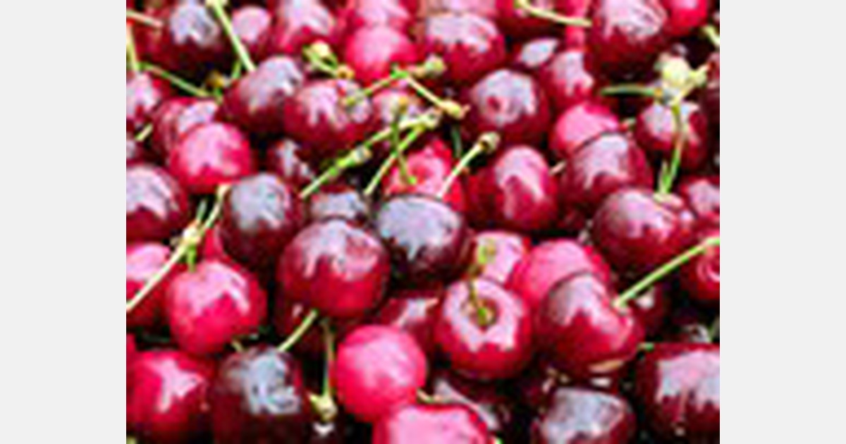 El "Cherry Express" conectará San Antonio y China en 21 días durante ...