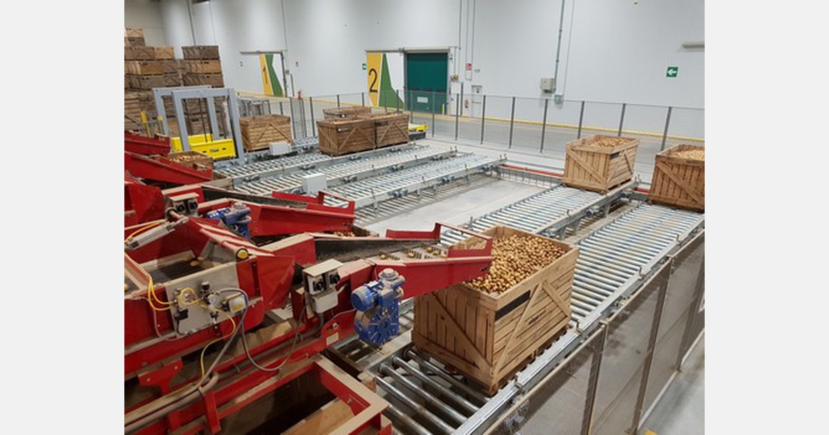 "El consumo de patata en los hogares está descendiendo"