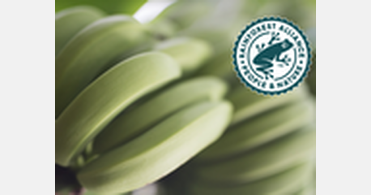 Una finca bananera en Costa Rica es la primera en el mundo en recibir ...