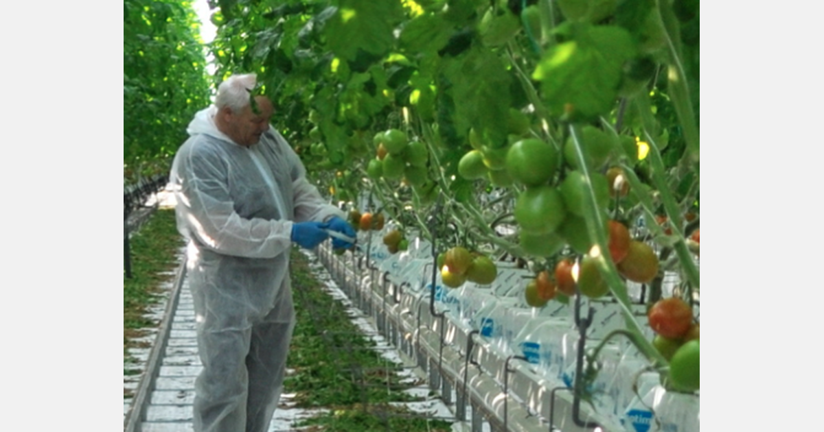 Groen Agro Control se convierte en Normec Groen Agro Control