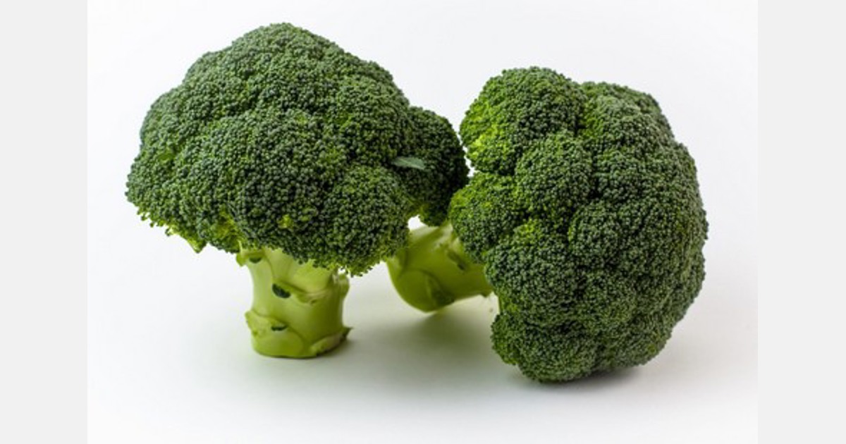 "Aún estamos a un 30% de la disponibilidad de brócoli que deberíamos ...