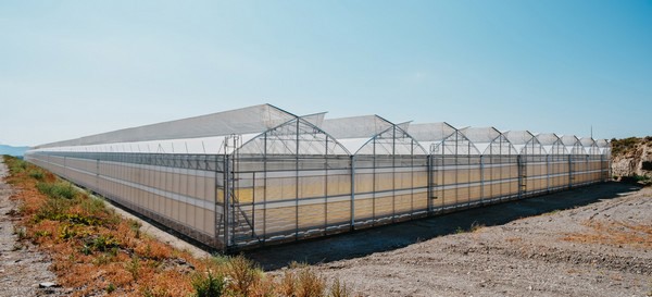 El mayor invernadero construido en España en un solo módulo