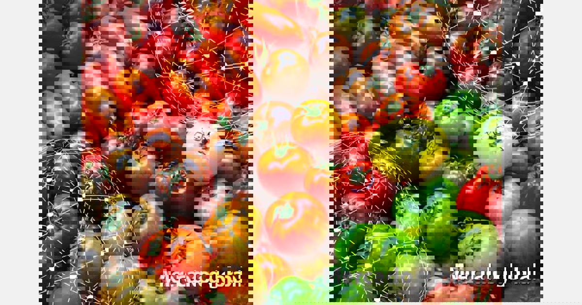 Resumen del mercado global del tomate