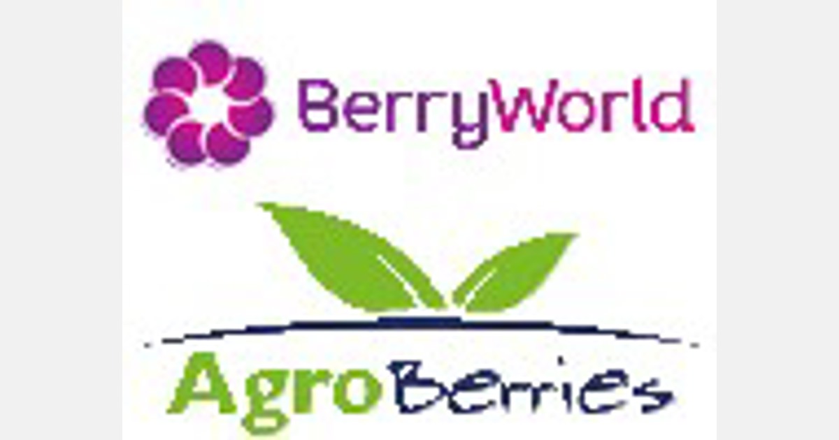 Agroberries adquiere acciones en BerryWorld