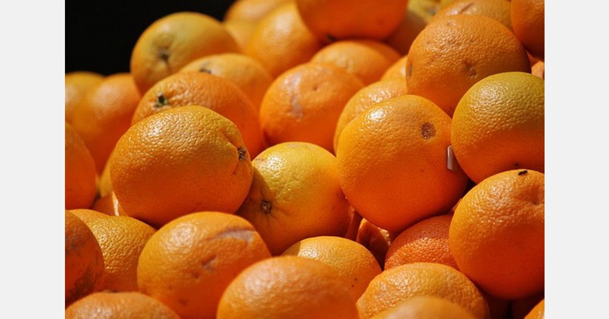 Egipto concentra el 94,9% de las naranjas importadas por la UE desde ...