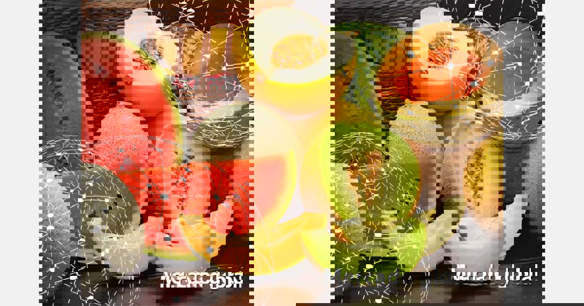 Resumen del mercado global del melón y la sandía