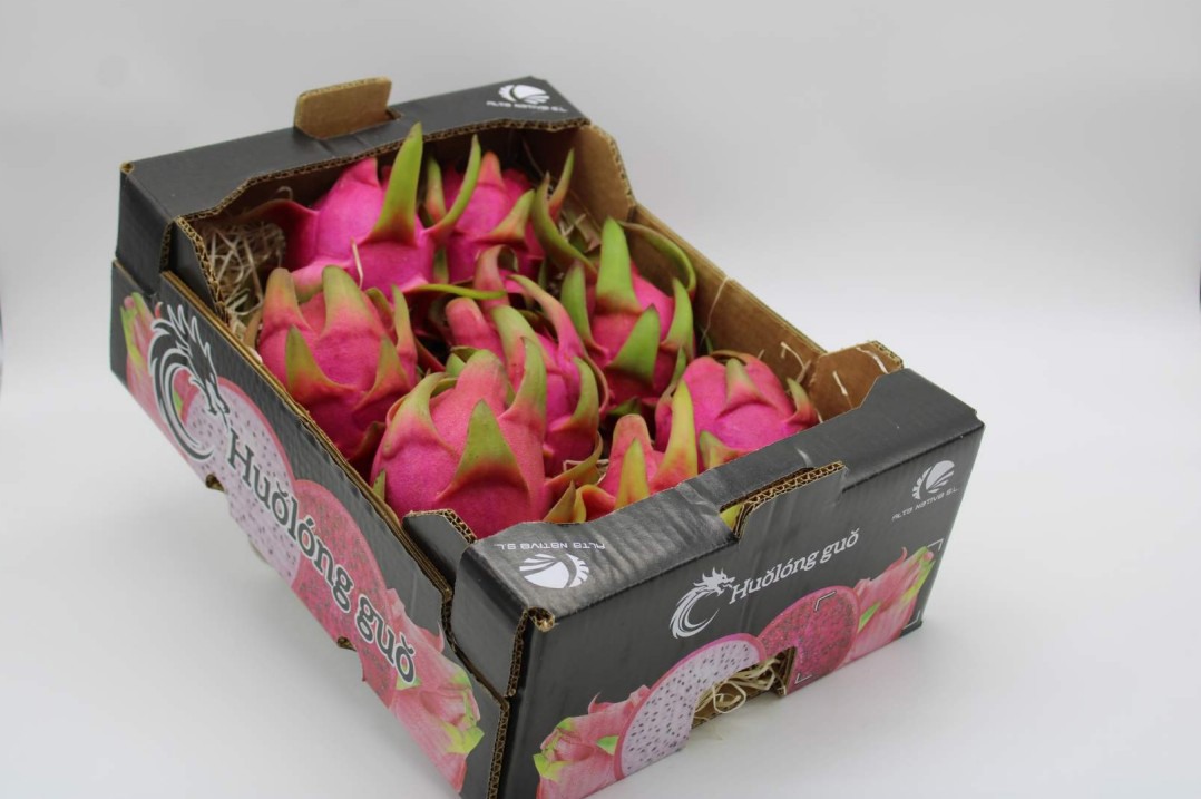 “Estimamos que habrá un aumento importante de la producción de pitahaya ...