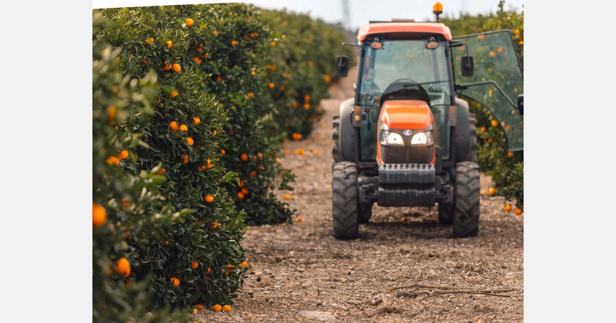 Bollo Natural Fruit eleva su facturación hasta los 500 millones de euros
