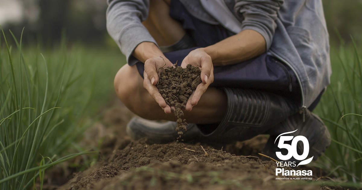 Planasa cumple 50 años como referente mundial en la obtención de variedades de berries