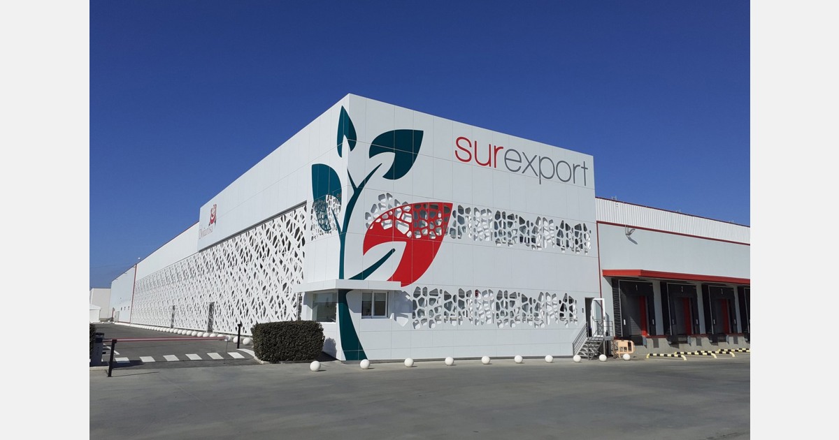 Surexport adquiere la holandesa Jong Fruit ampliando su capacidad de ...