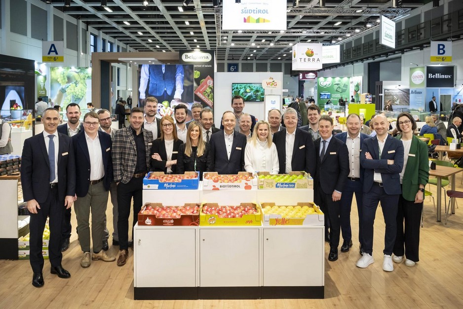 VOG se dirige al mercado con una nueva estructura interna