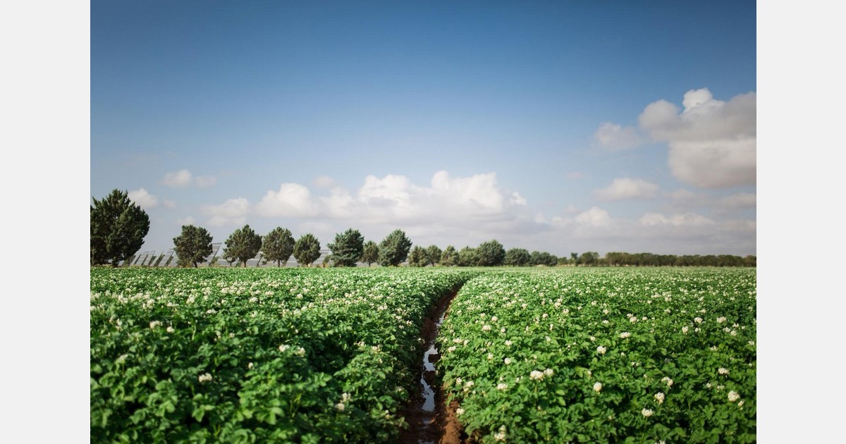 "Con la creación de marcas de calidad, conseguiremos que el consumo de ...
