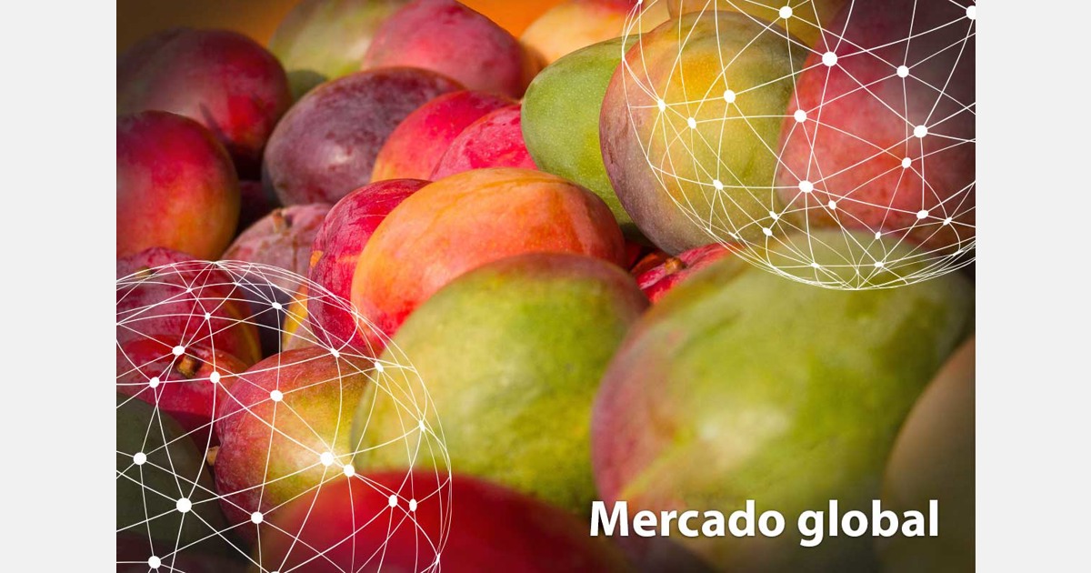 Resumen del mercado global del mango