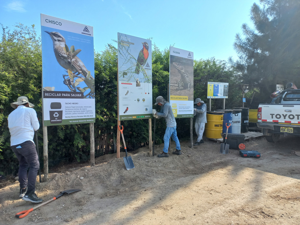 Con operaciones en Perú, México y Marruecos, Agrovision Corp. busca ...