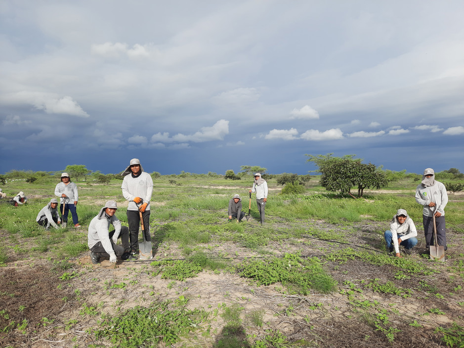 Con operaciones en Perú, México y Marruecos, Agrovision Corp. busca ...