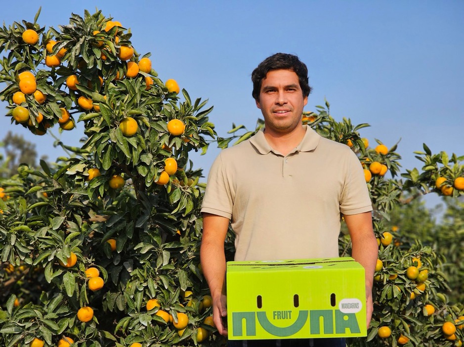 “Con nuestra nueva marca propia de mandarinas, planeamos poder llevar ...