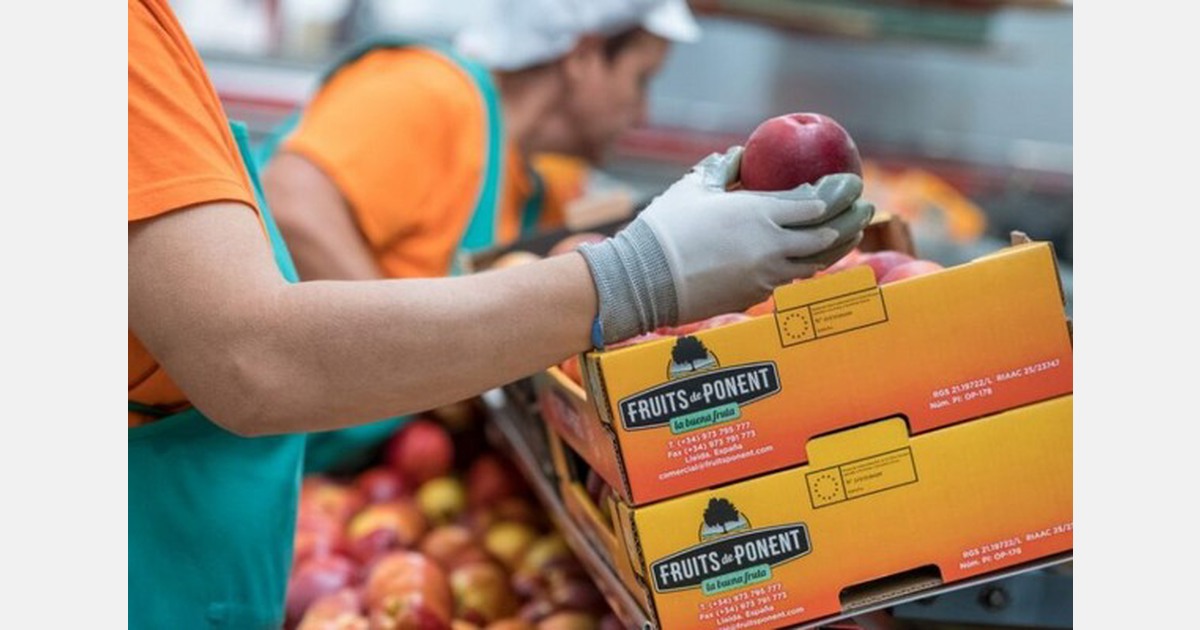 "Sin duda, el veto ruso ha creado un competidor cada vez más fuerte en ...