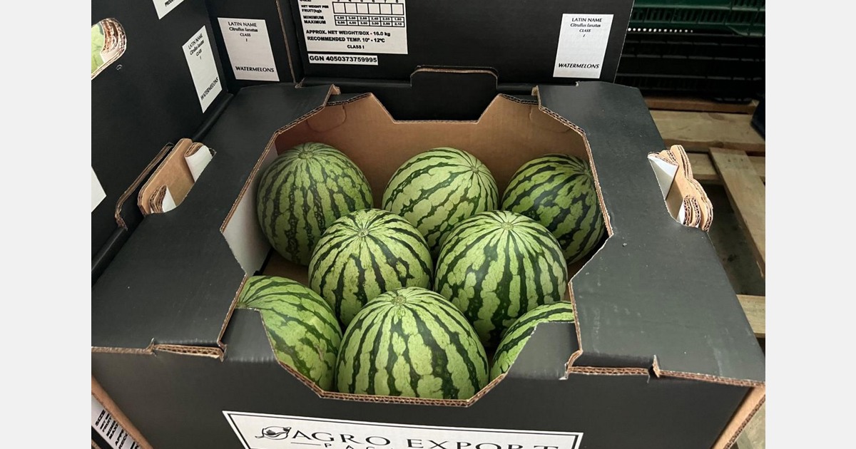 Aumento de volúmenes y expansión en nuevos mercados en la exportación ...