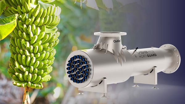 HortiGuard protege las plantaciones de banano contra el "Fusarium" y el ...