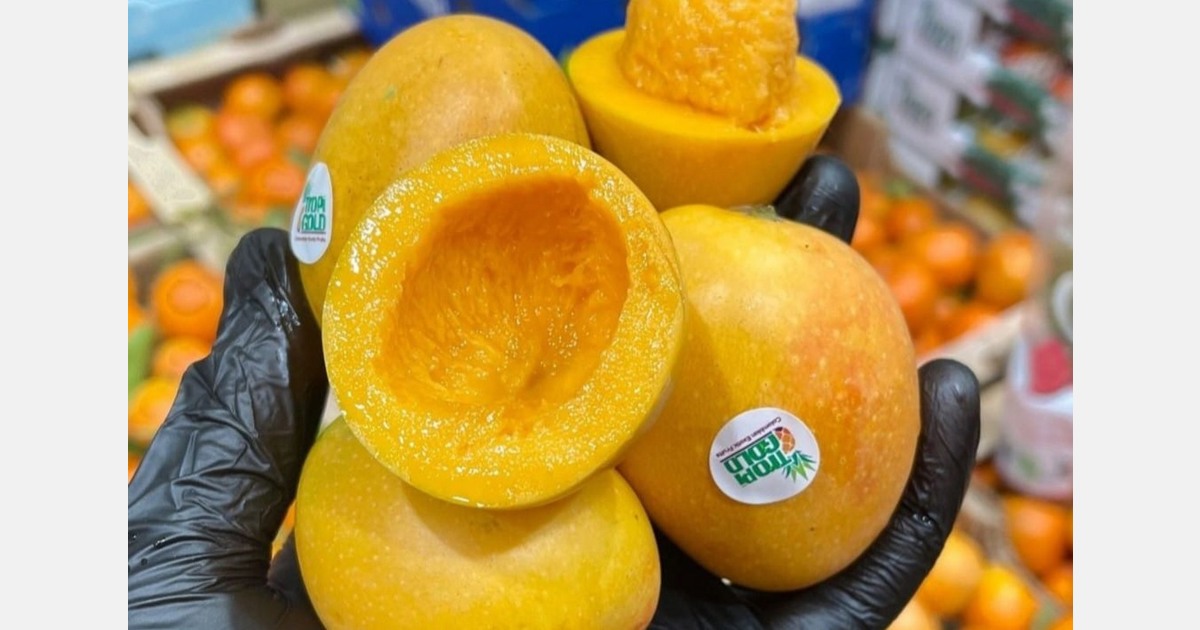 "El mango de azúcar ha sido bien recibido en Europa y estamos ...