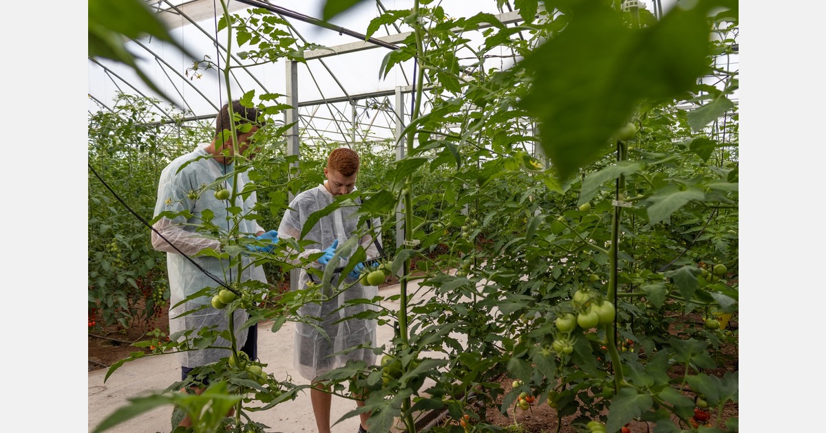 CapGen Seeds avanza en su crecimiento internacional de cara a esta ...