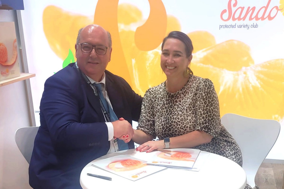 "Si el tiempo lo permite, este año podremos recolectar Sando antes y ...