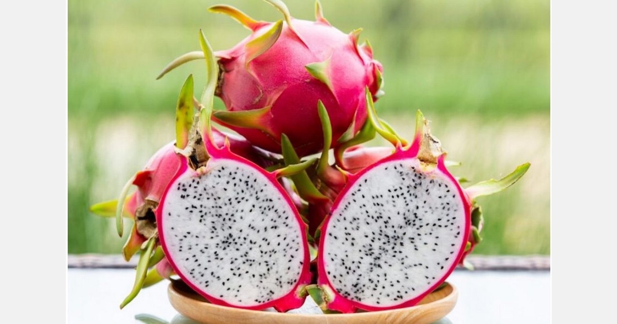 "Hoy en día somos el principal proveedor de pitahaya para el mercado ...