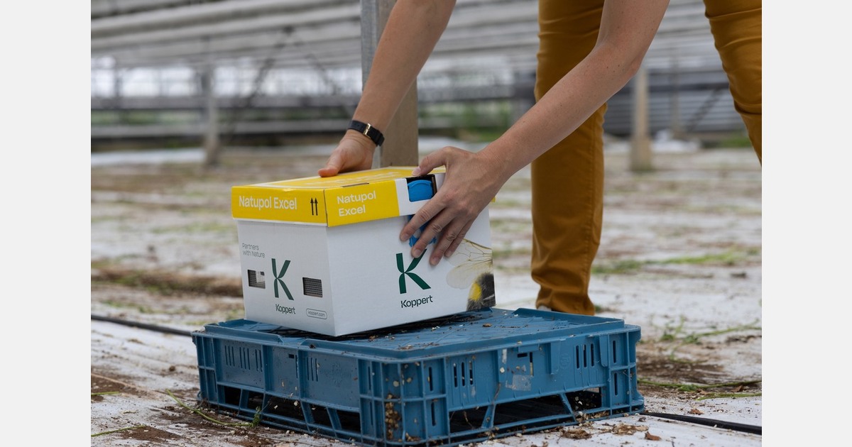 Las colmenas Natupol de Koppert, ahora con menos plástico y mejor ...