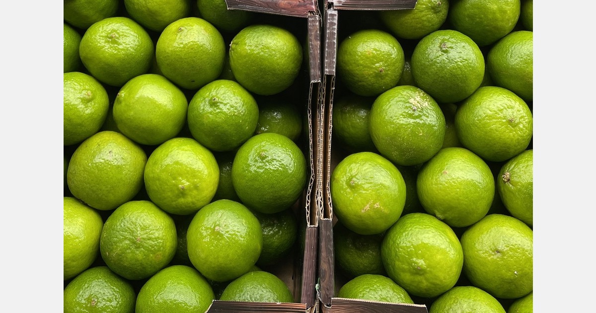 "Repuntan los precios de la lima, pero aún están por debajo de lo habitual para esta época del año"