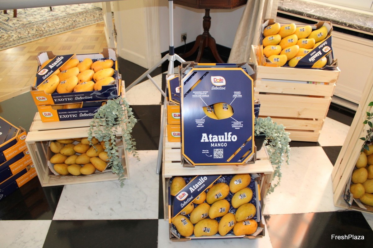 Ataúlfo, el mango con denominación de origen que apunta a Europa