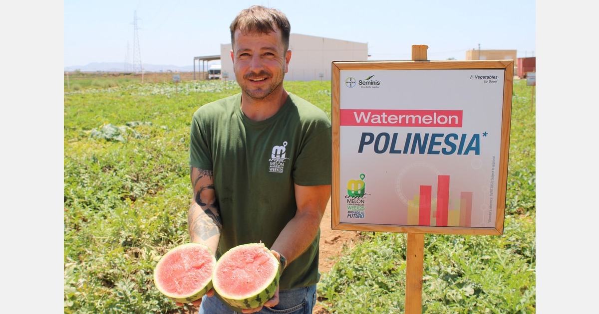 "Nuestra sandía Polinesia es un polinizador que aporta carne firme y ...