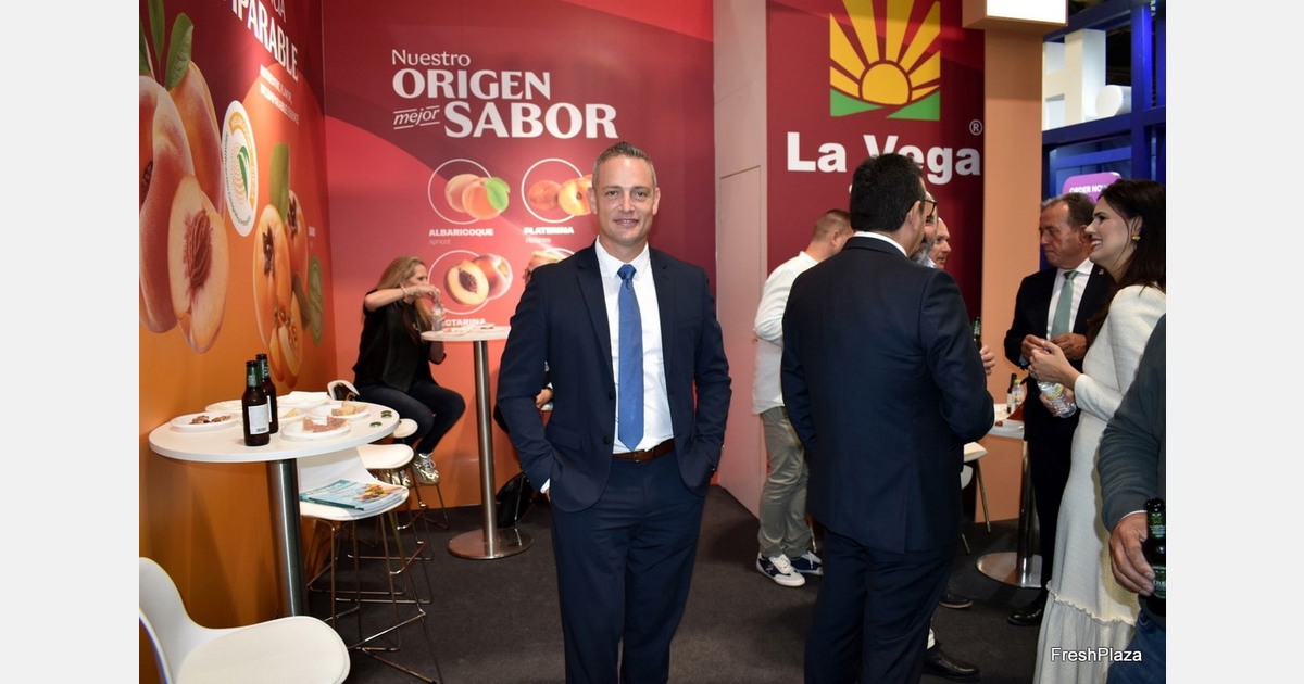 Precios más altos para la fruta de hueso en 2025 ¿mayor rentabilidad?