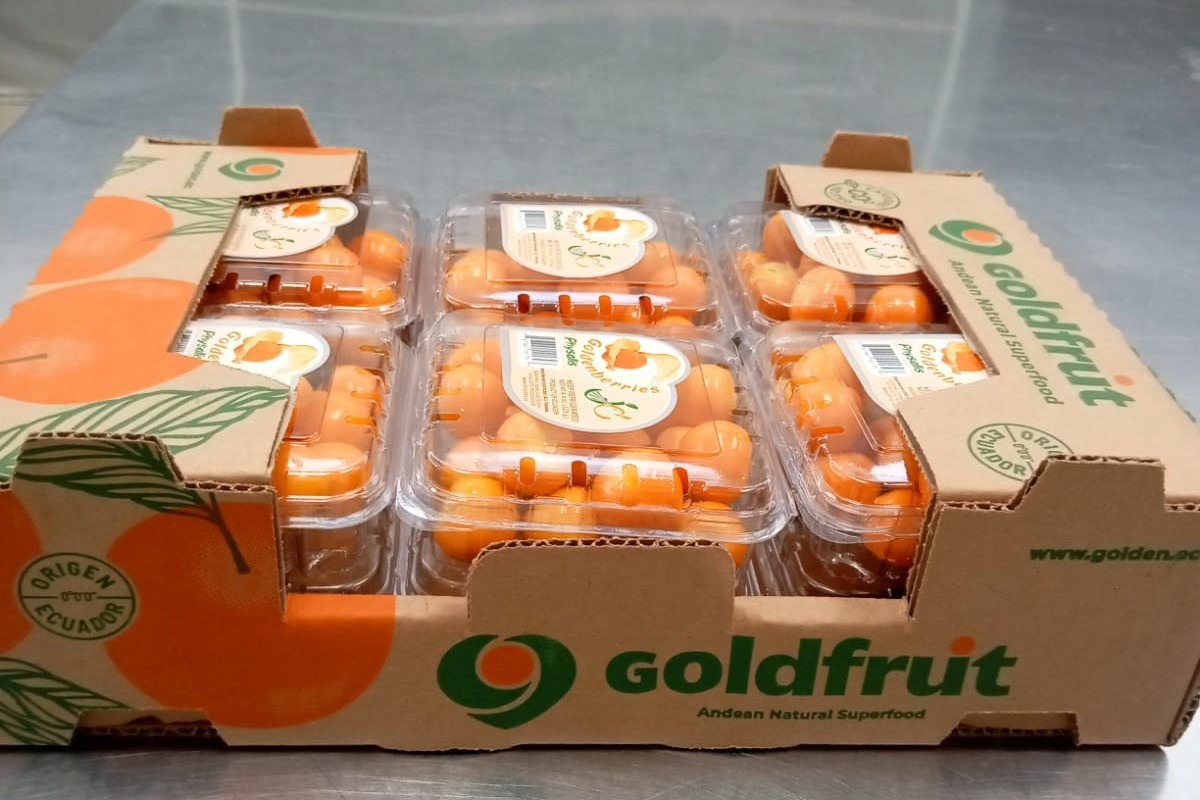 El "golden berry" ecuatoriano gana espacio entre las berries en Estados ...