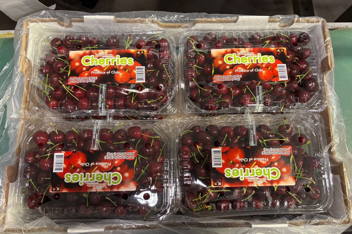 "Es más exitoso invertir en adelantar una buena Santina que apostar por ...