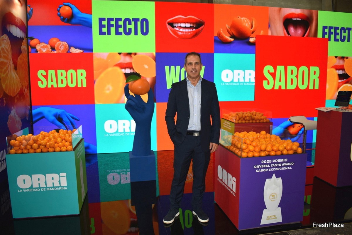 La campaña de mandarina Orri de 2026 empezará antes y con un 22% más de ...
