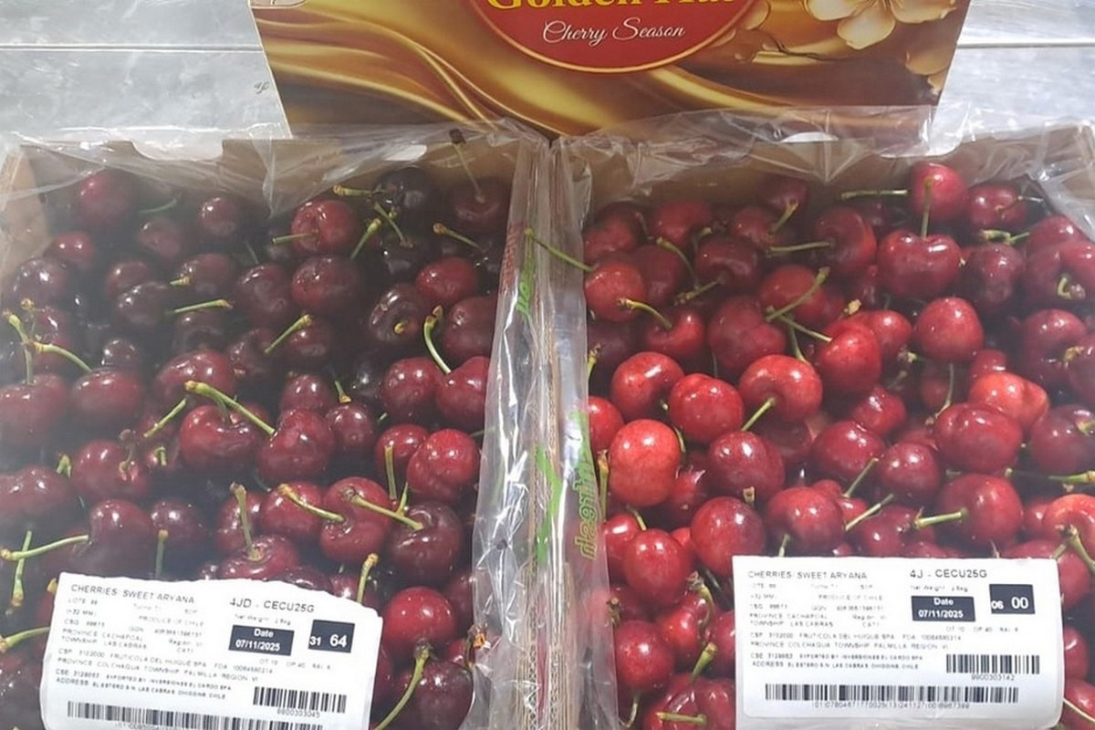 "Si con 114 millones de cajas se vende mal, ¿qué va a pasar cuando ...