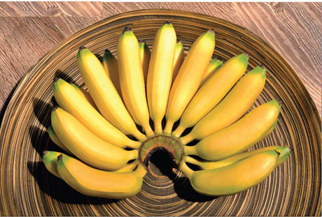 "Ecuador: "China tiene mucho potencial para la pitahaya ecuatoriana"