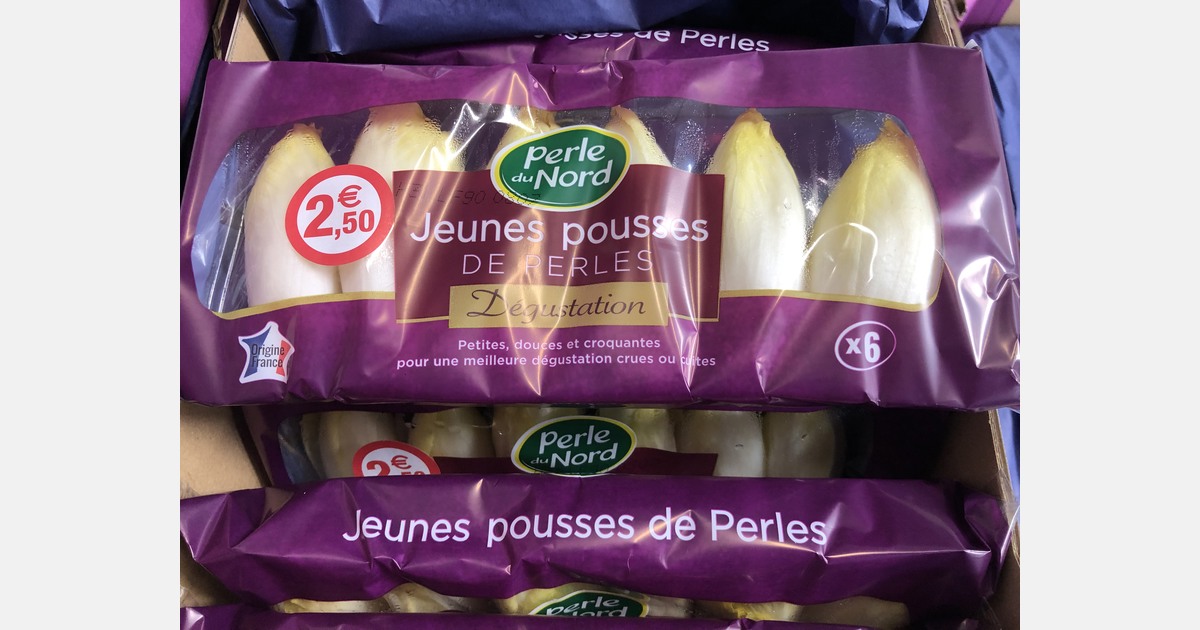 "Este mes de septiembre habrá escasez de endibias en Francia"